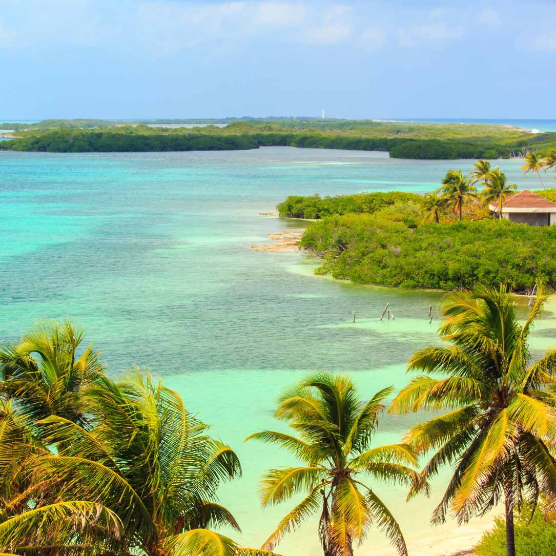 Explora Isla Contoy - México Playas