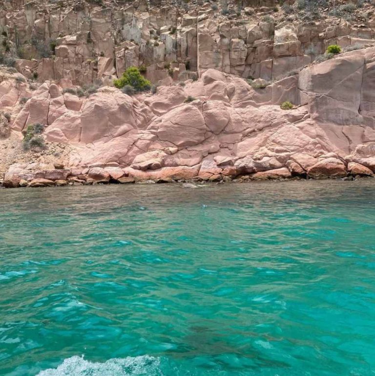 Descubre Isla Espíritu Santo: un paraíso natural en México - México Playas